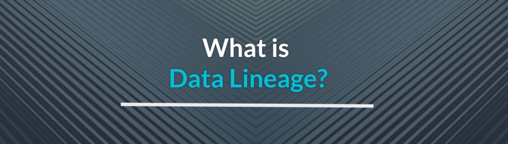 Datactics Glossary - What is Data Lineage?