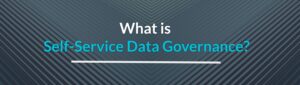 Datactics Glossary - What is Self-Service Data Governance?