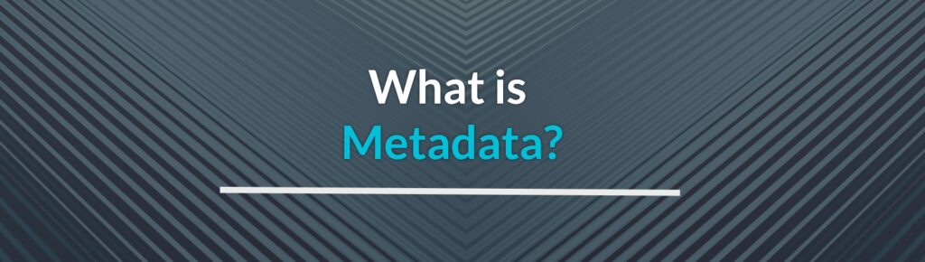 Datactics Glossary - What is Metadata?