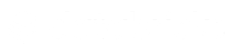 Datactics - Augmented Data Quality